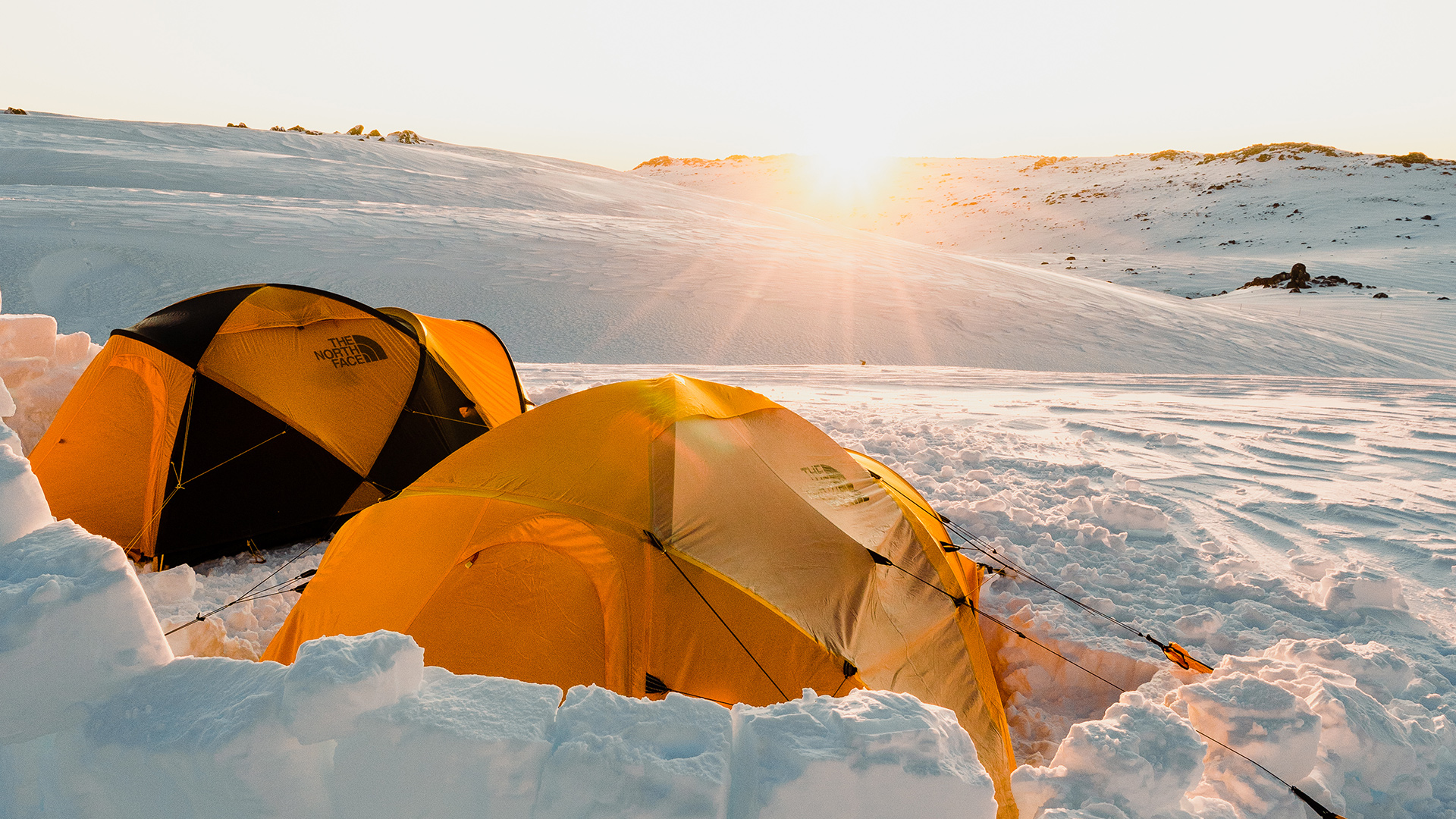 Mitigation And Adaptation Strategies Protect Our Winters Australia